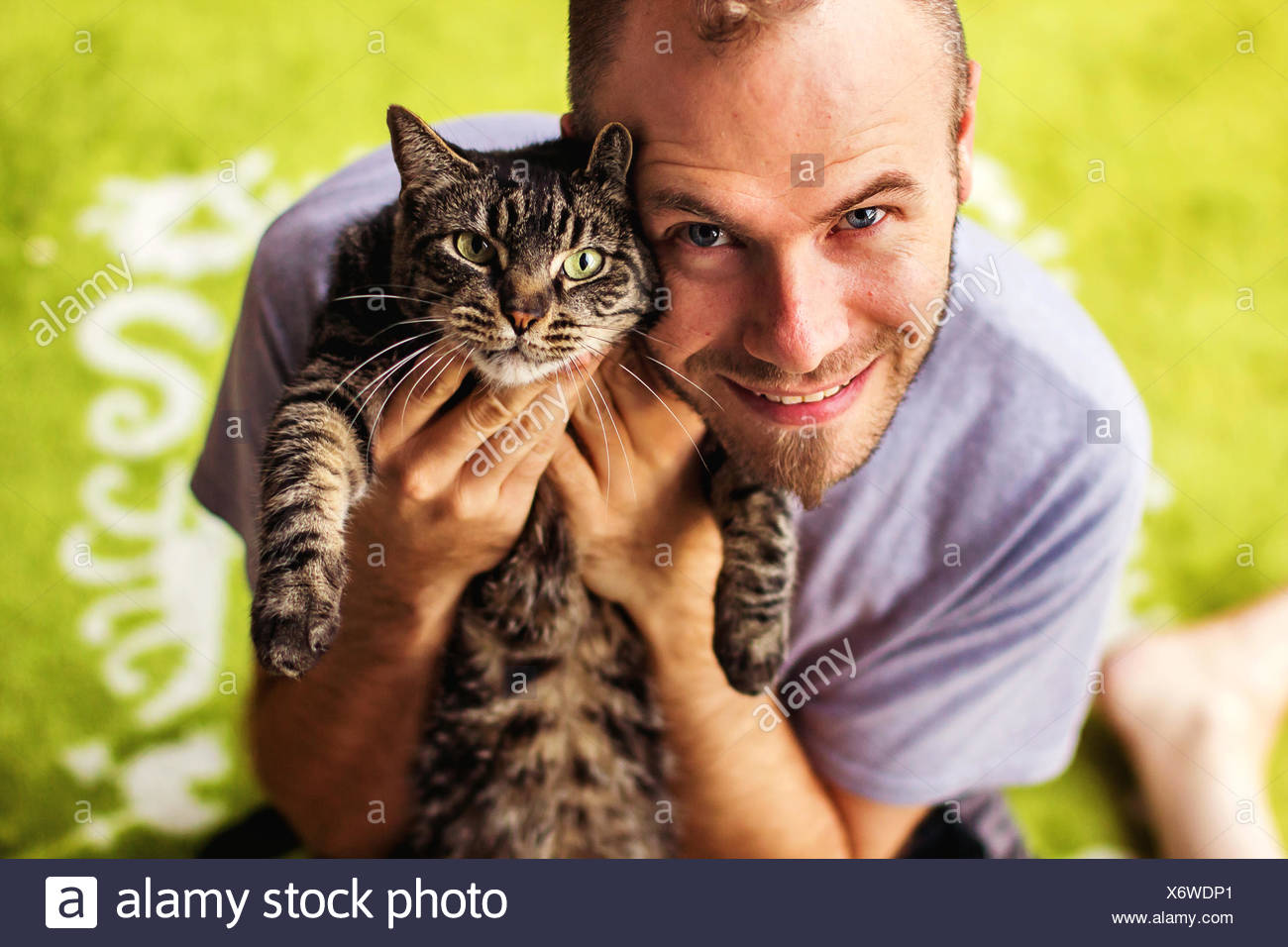 Real Cat High Resolution Stock Photography and Images - Alamy