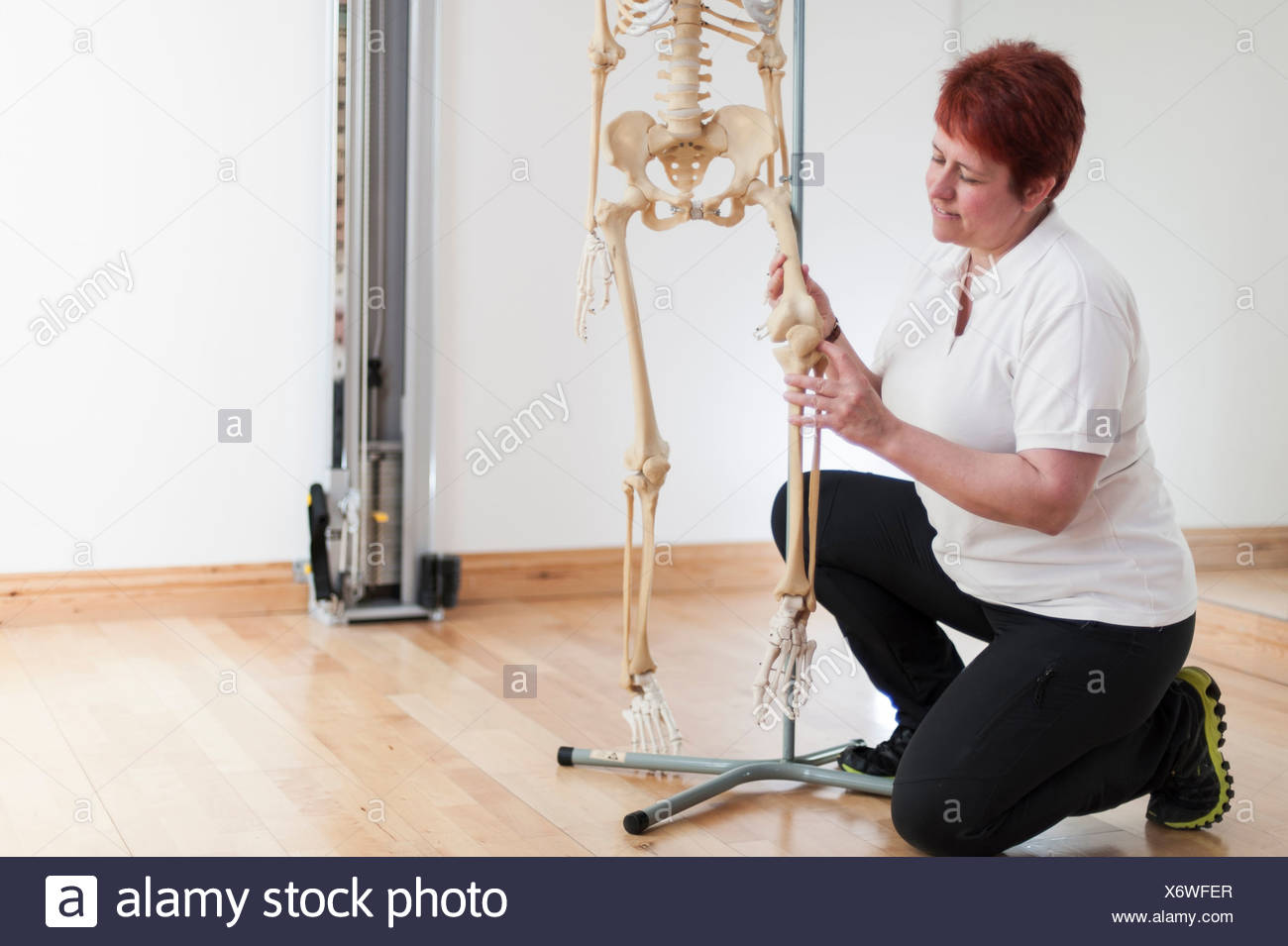 Model Of Human Body High Resolution Stock Photography and Images - Alamy