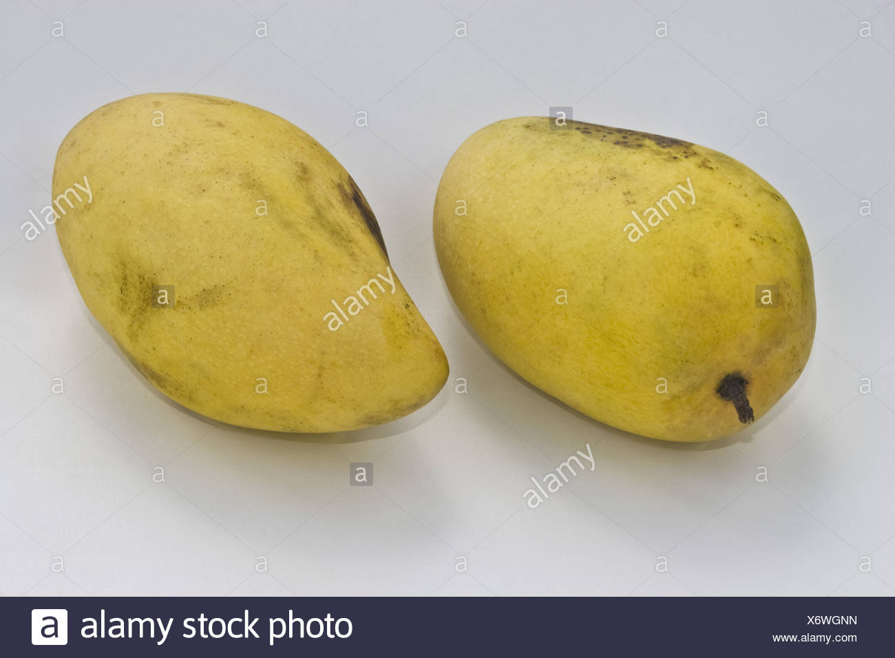 Ambu Stock Photos & Ambu Stock Images - Alamy