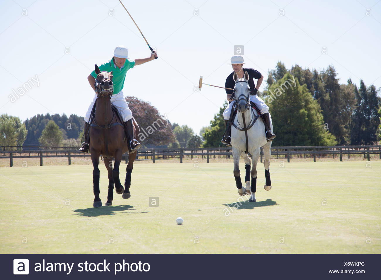 Polo Horse Stock Photos & Polo Horse Stock Images - Alamy