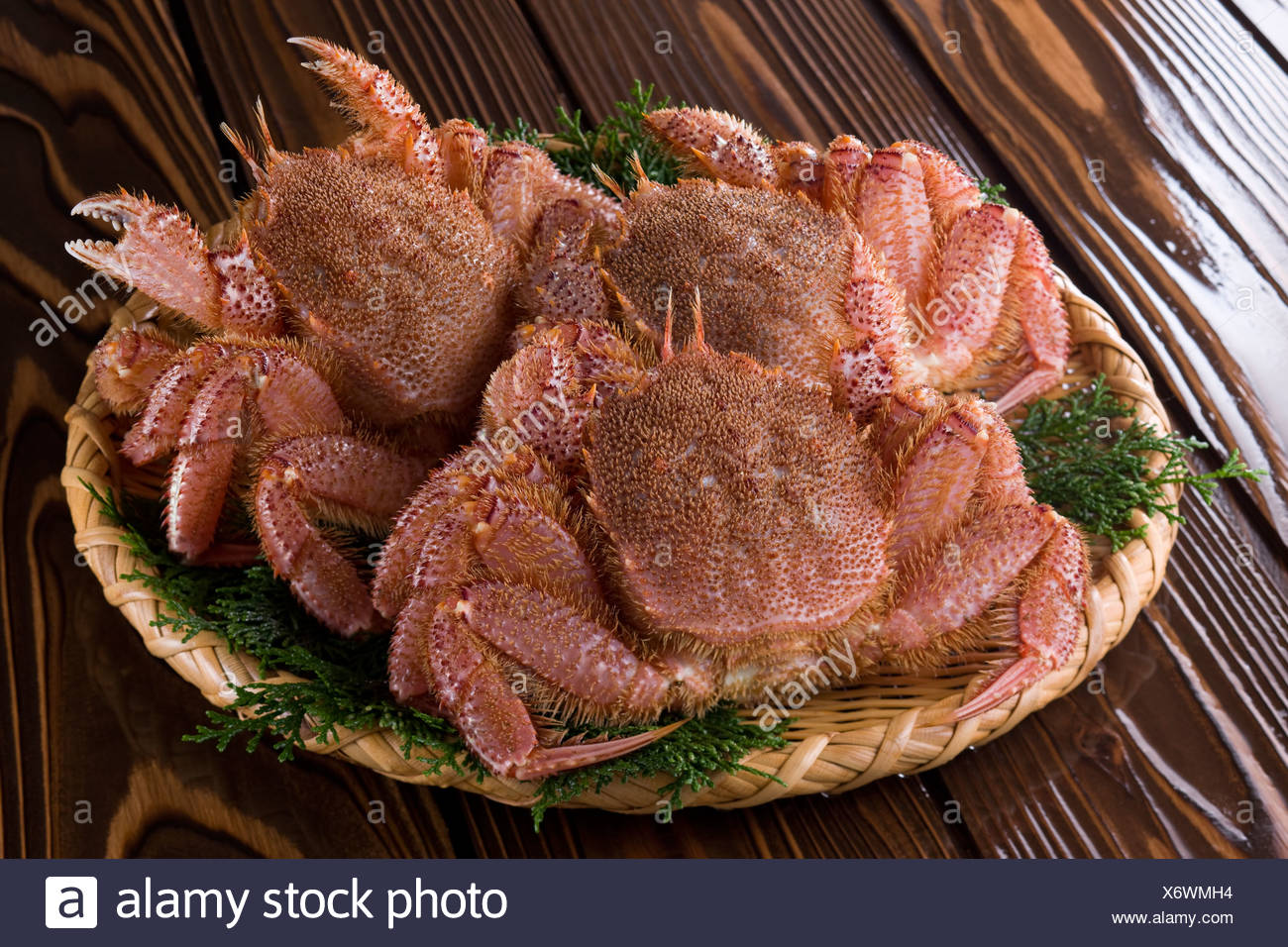 Horsehair Crab High Resolution Stock Photography and Images - Alamy