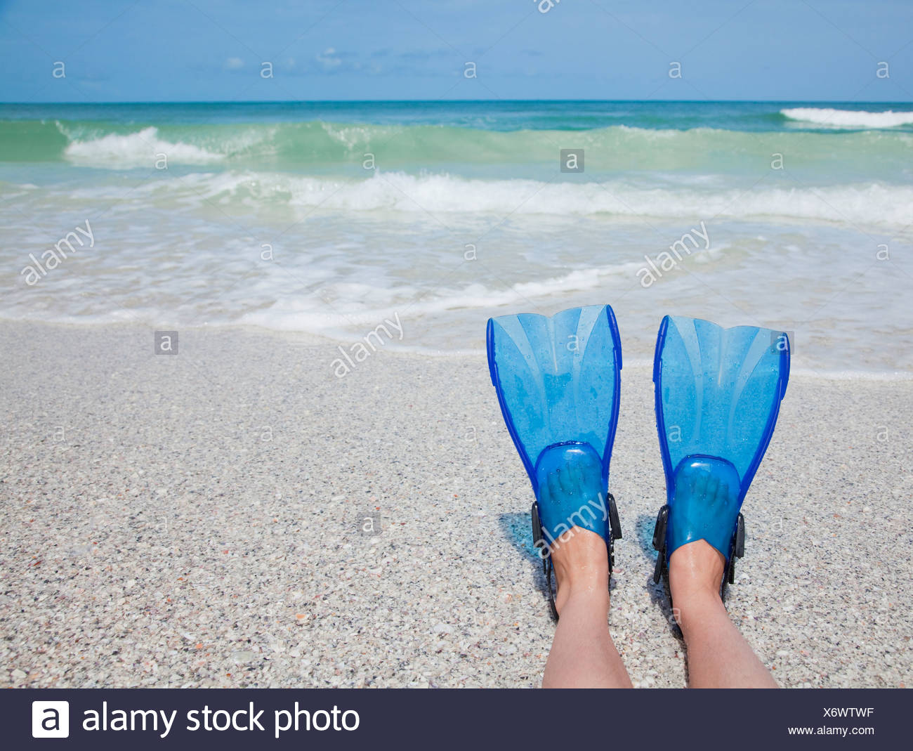 Flipper Flippers High Resolution Stock Photography and Images - Alamy