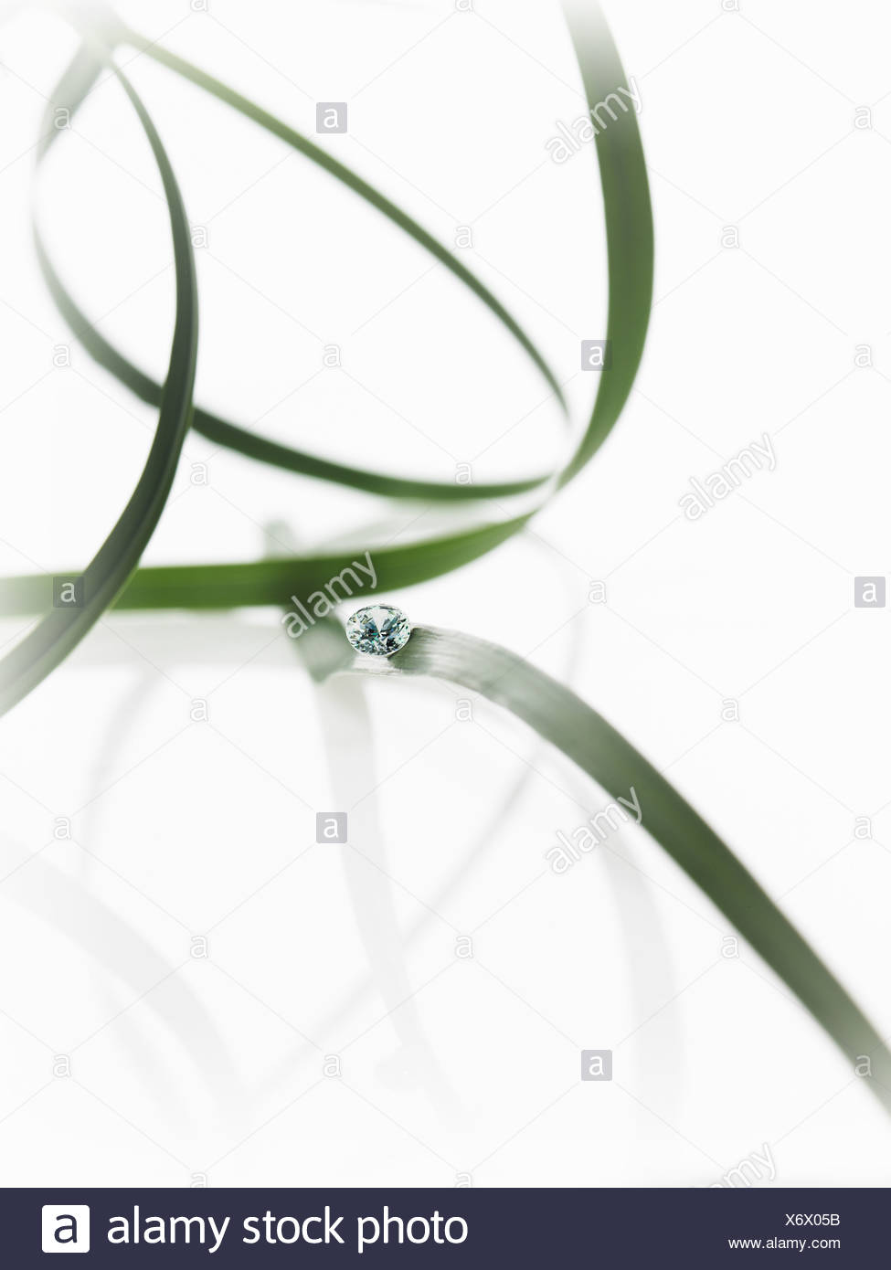 Thin Glass High Resolution Stock Photography and Images - Alamy