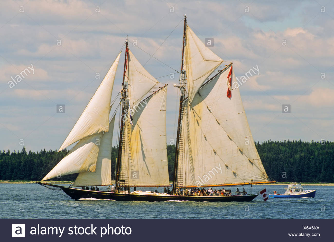 Gaff Ridd B High Resolution Stock Photography and Images - Alamy
