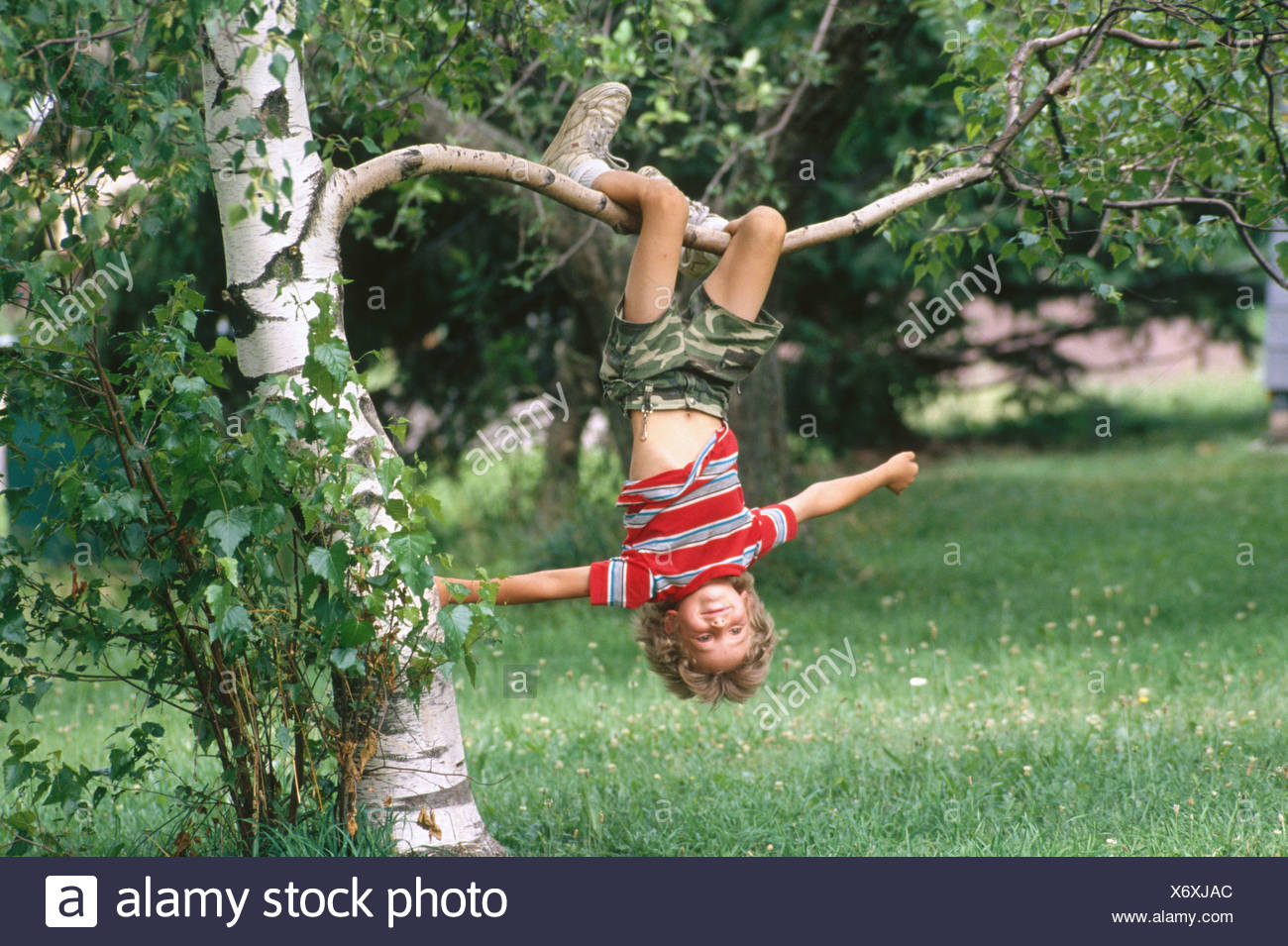 Boy Hanging From Branch Tree Stock Photos & Boy Hanging From Branch ...