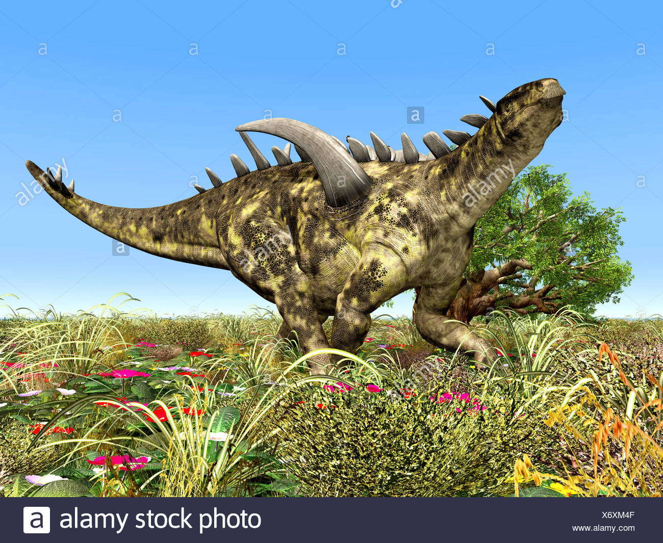 Gigantspinosaurus High Resolution Stock Photography and Images - Alamy