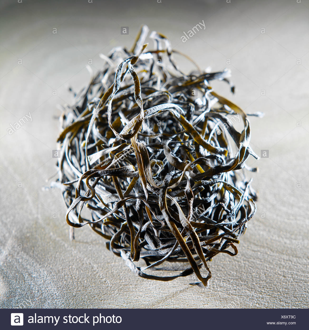 Himanthalia Elongata High Resolution Stock Photography and Images - Alamy