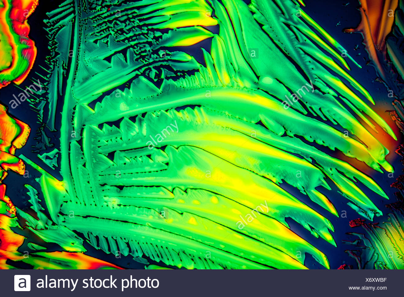Urea Crystals Stock Photos & Urea Crystals Stock Images - Alamy