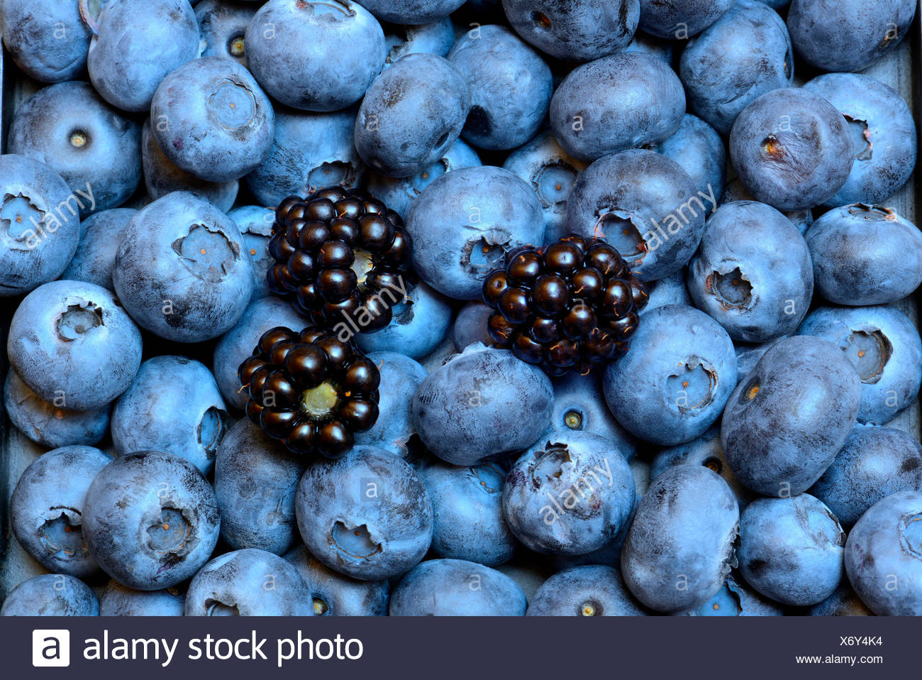 Heidelbeeren High Resolution Stock Photography and Images - Alamy