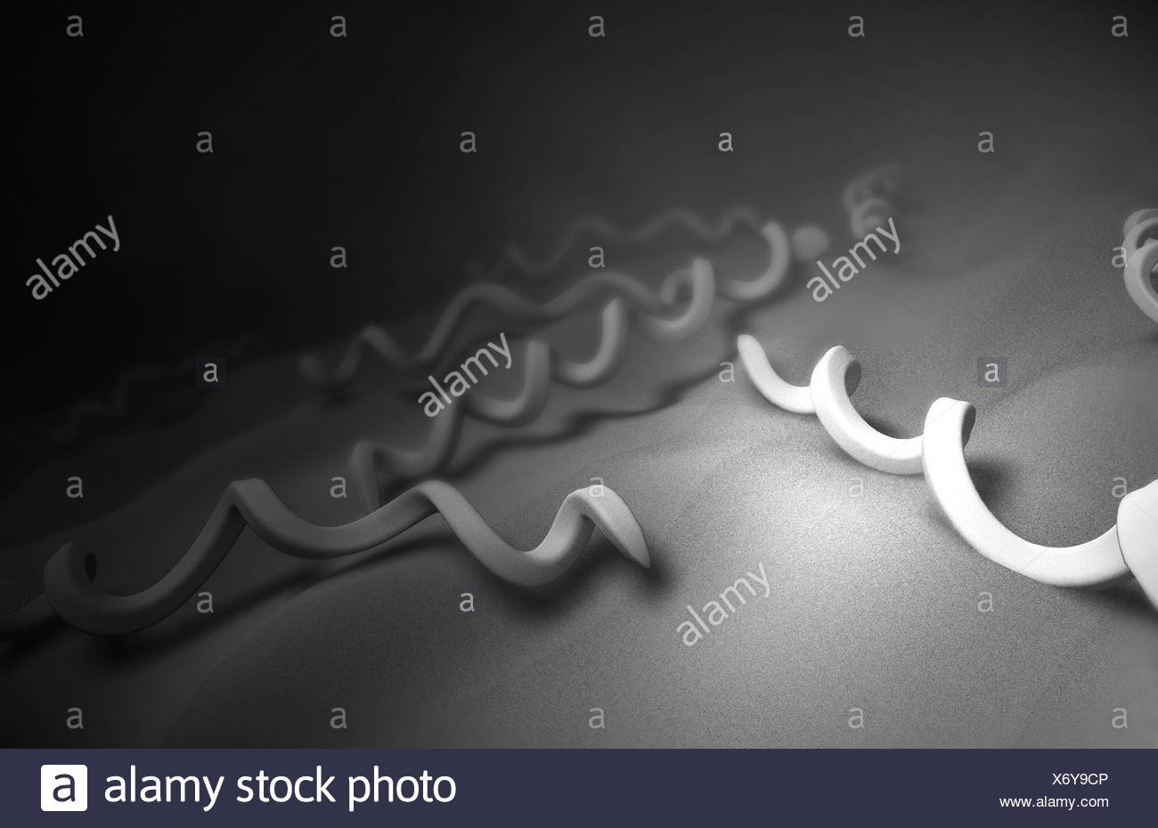 Treponema Pallidum Syphilis Bacterium High Resolution Stock Photography ...