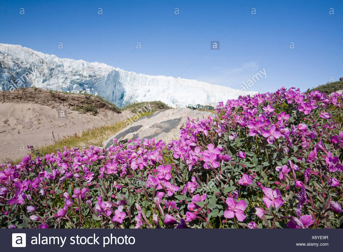 Greenland Glacier Stock Photos & Greenland Glacier Stock Images - Alamy