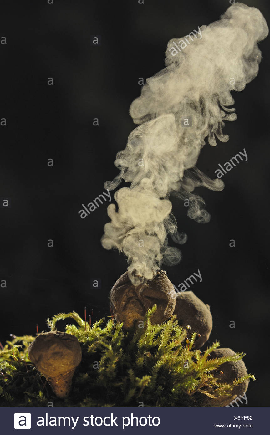 Puffball Clouds High Resolution Stock Photography and Images - Alamy