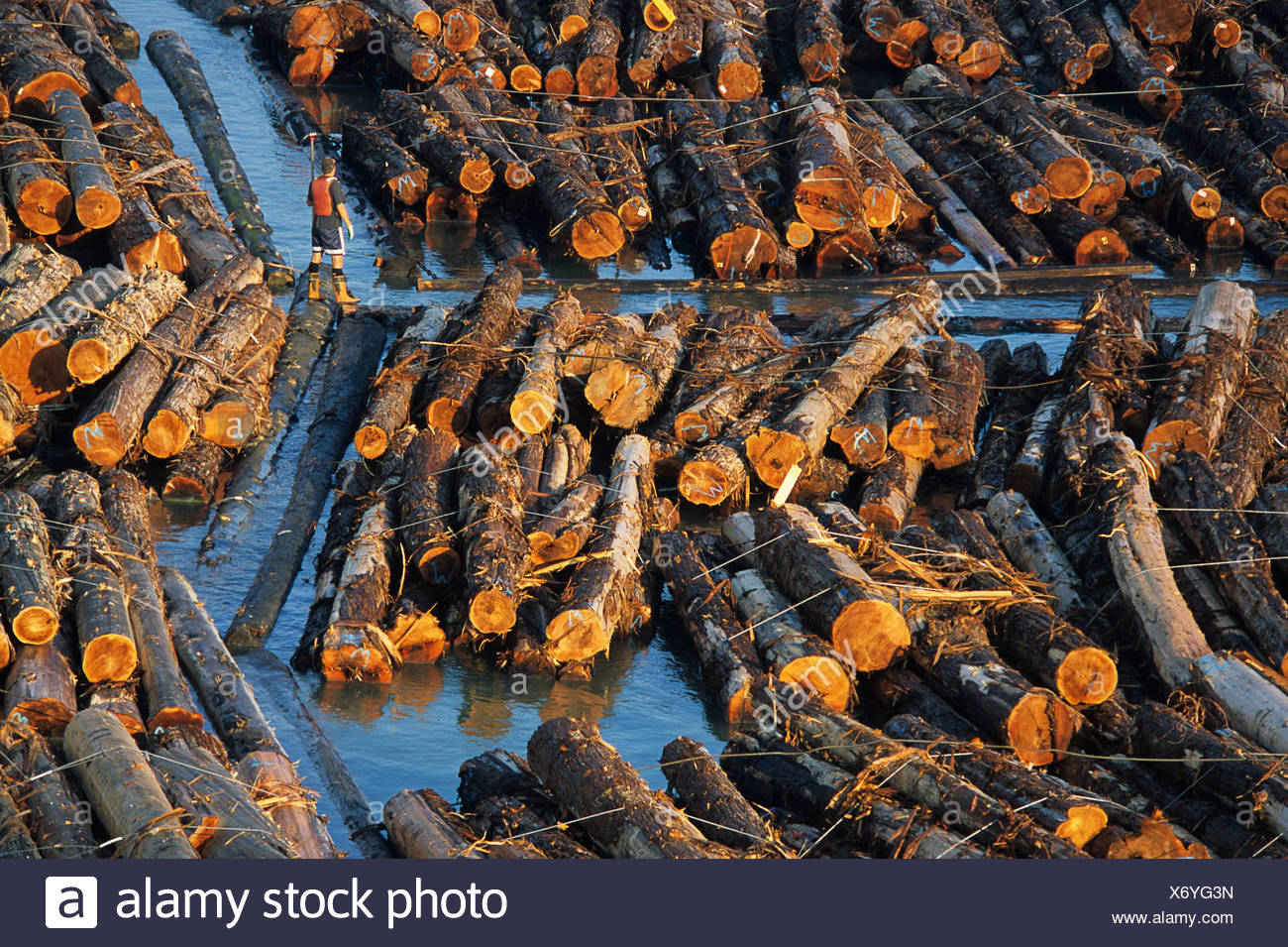 Logging Forestry Log Booms High Resolution Stock Photography and Images ...