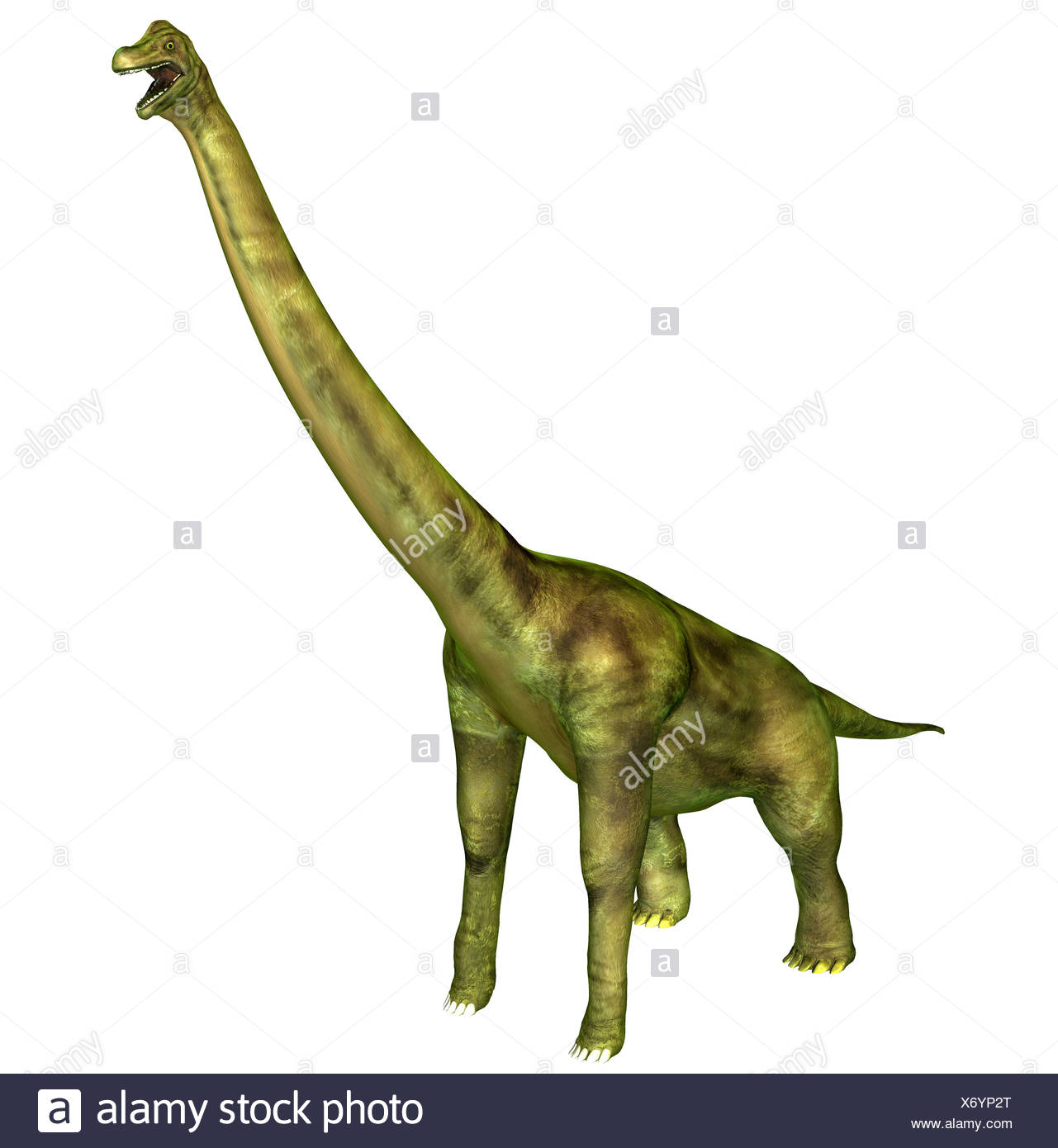 Brachiosaurus High Resolution Stock Photography and Images - Alamy
