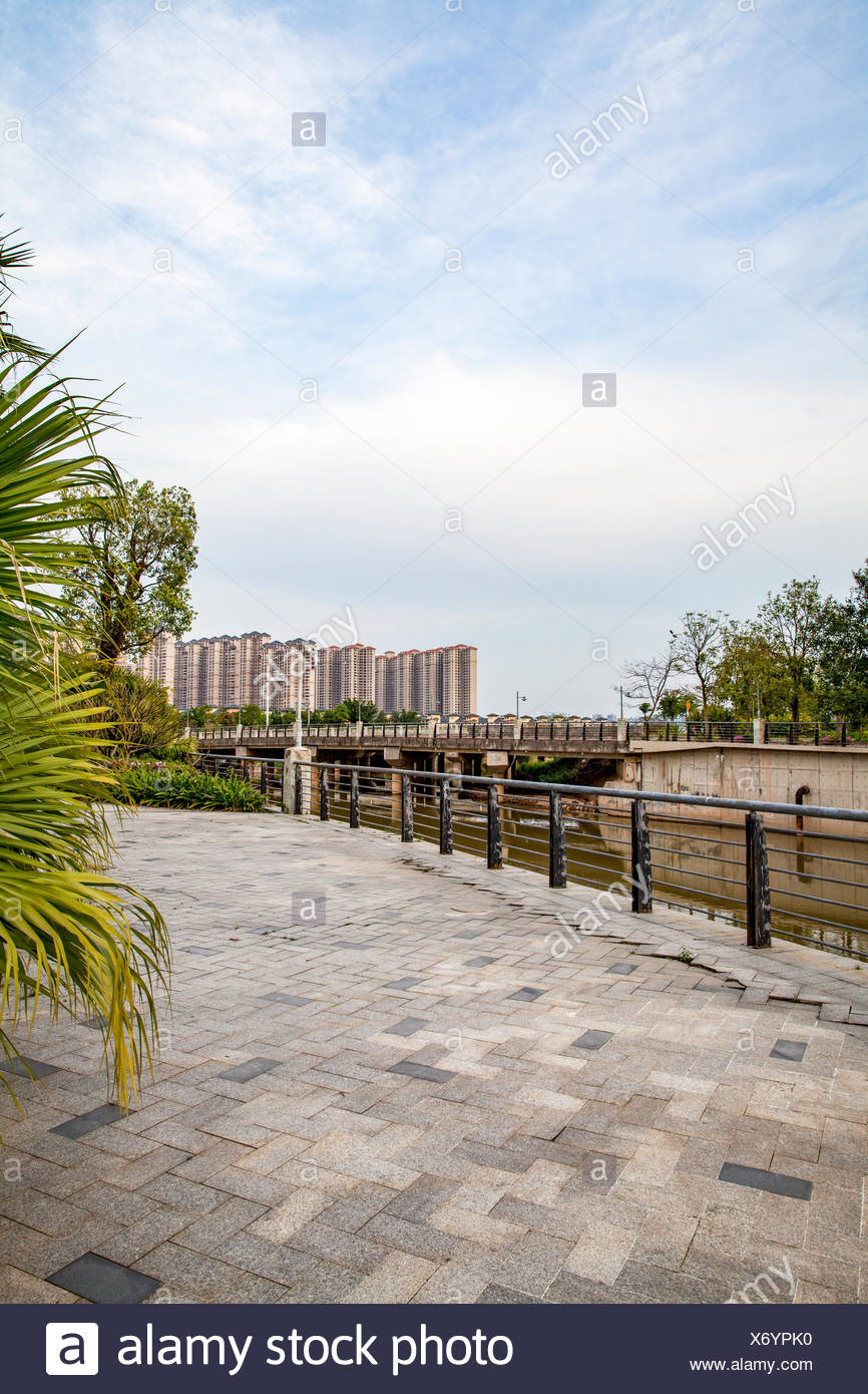 Riverside Plants Stock Photos & Riverside Plants Stock Images - Alamy