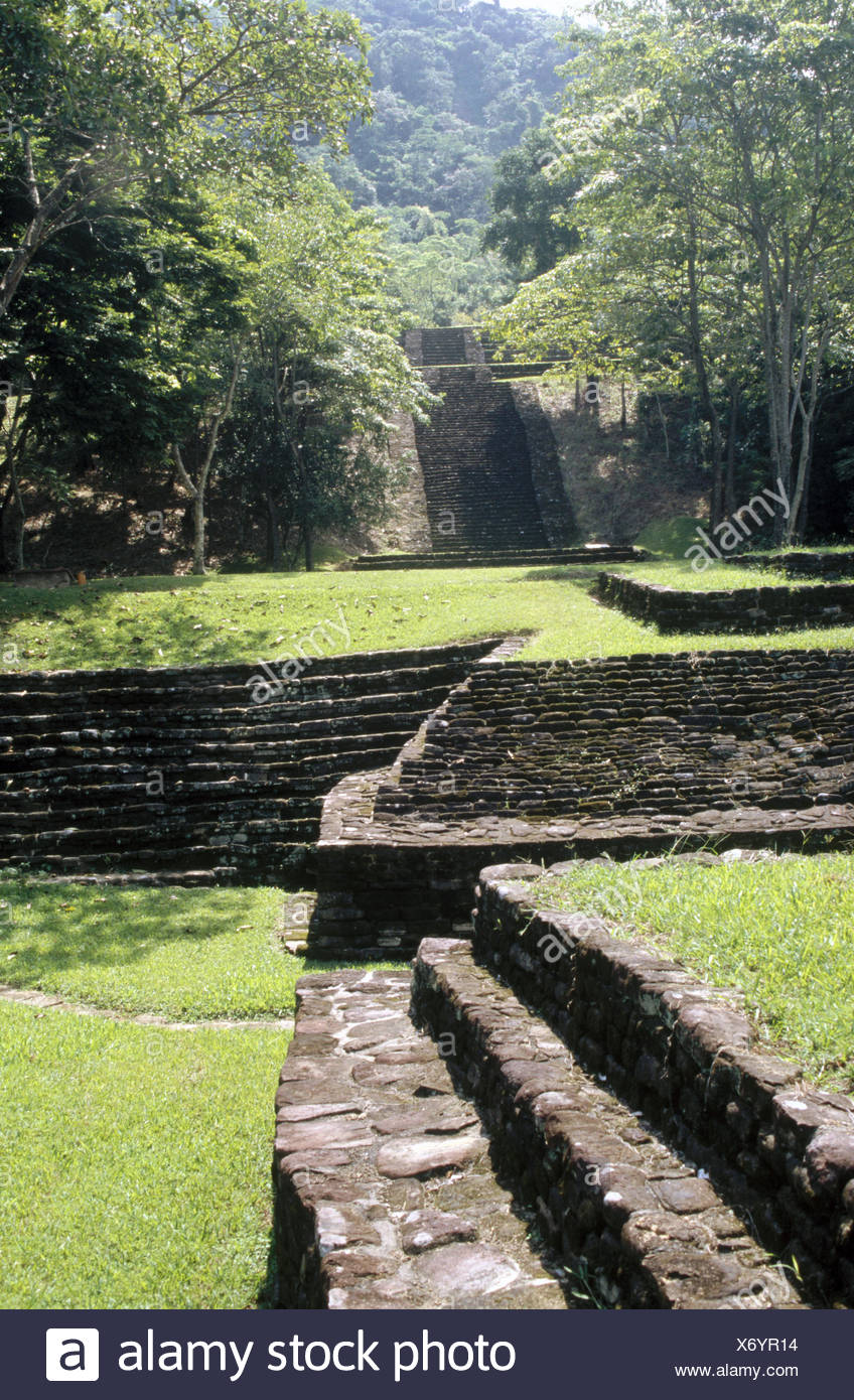 Jungle Tabasco High Resolution Stock Photography and Images - Alamy