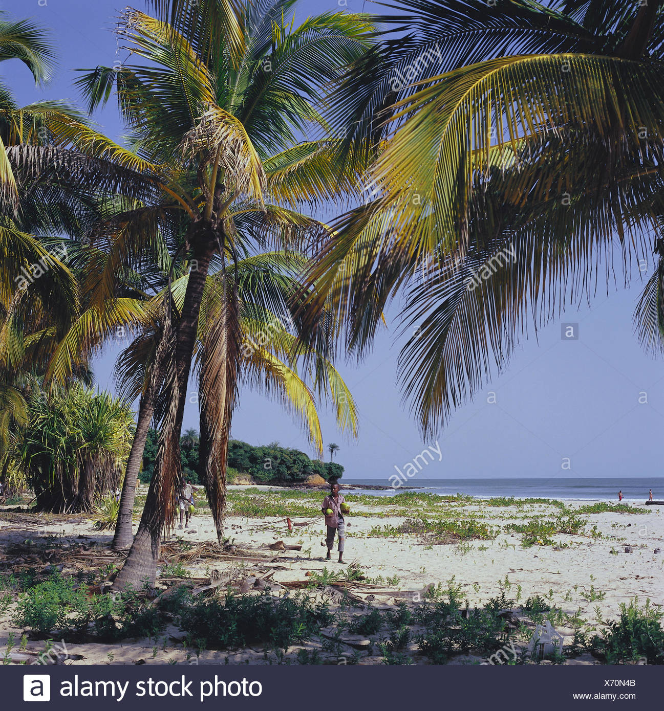 Casamance Senegal Stock Photos & Casamance Senegal Stock Images - Alamy