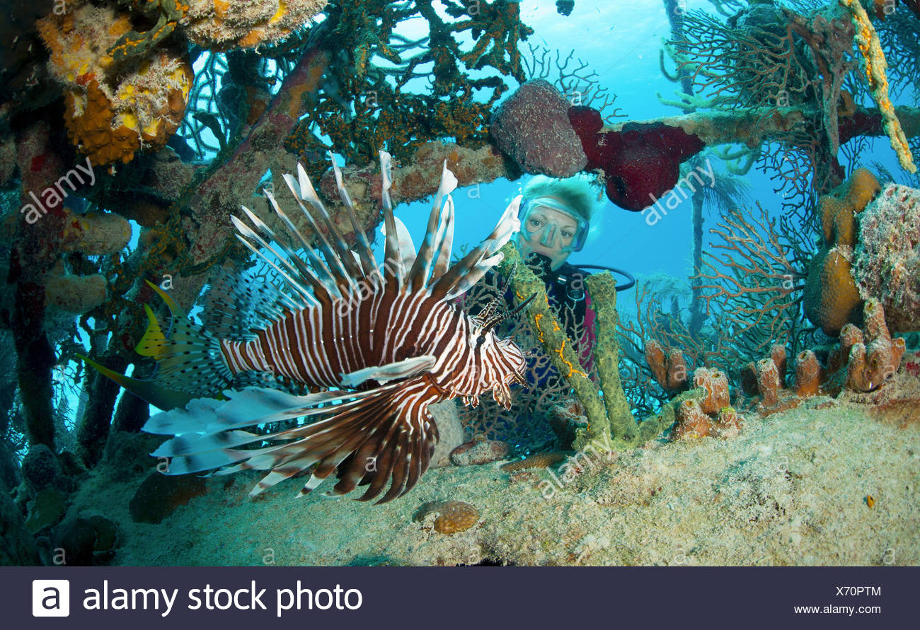 Unnatural High Resolution Stock Photography and Images - Alamy