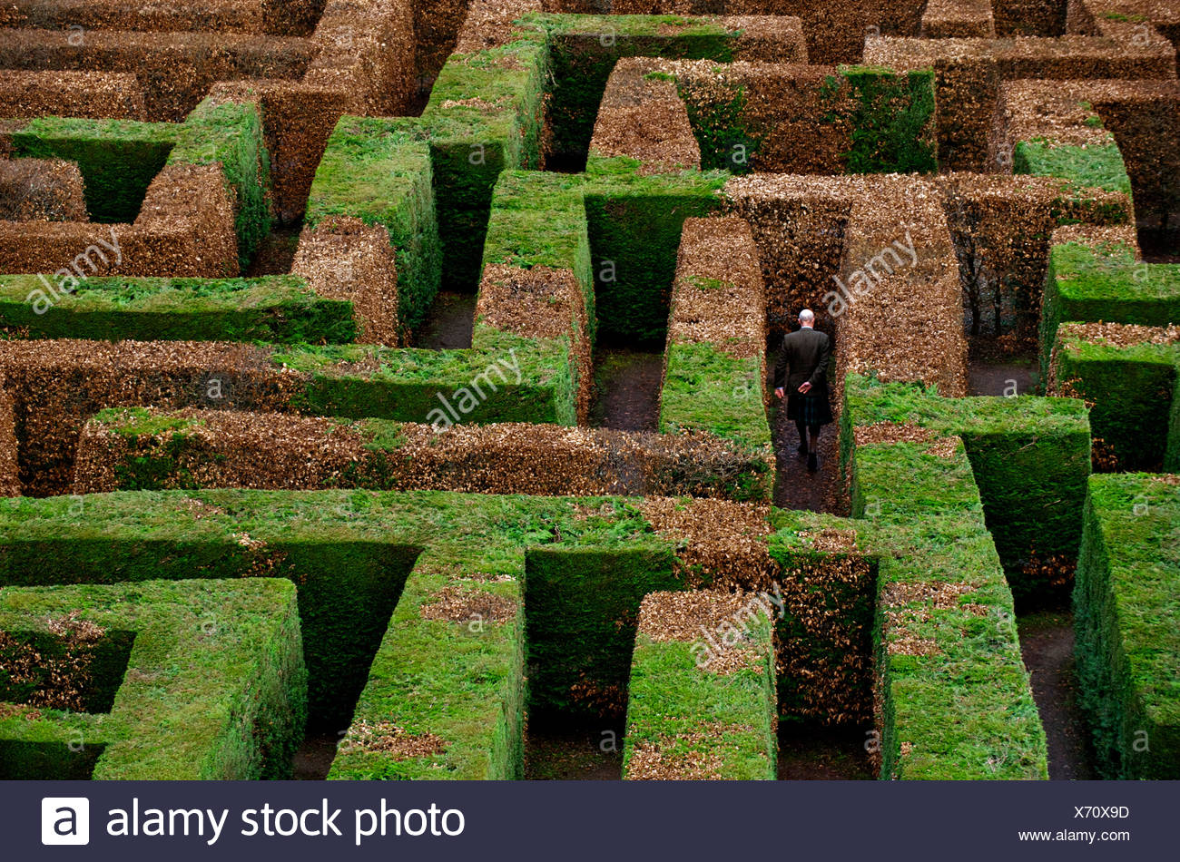 Hedge Maze Above High Resolution Stock Photography and Images - Alamy