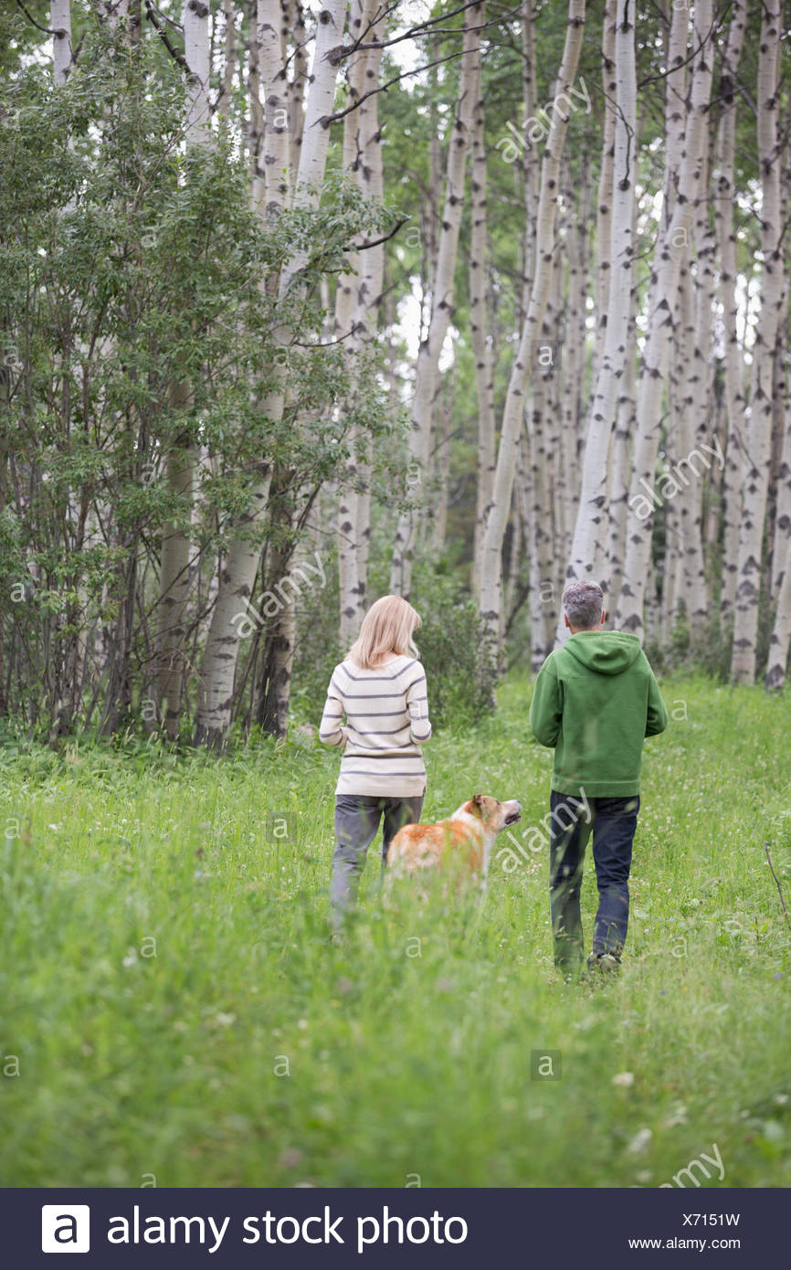 Woman Walking Dog In Woods Stock Photos & Woman Walking Dog In Woods ...