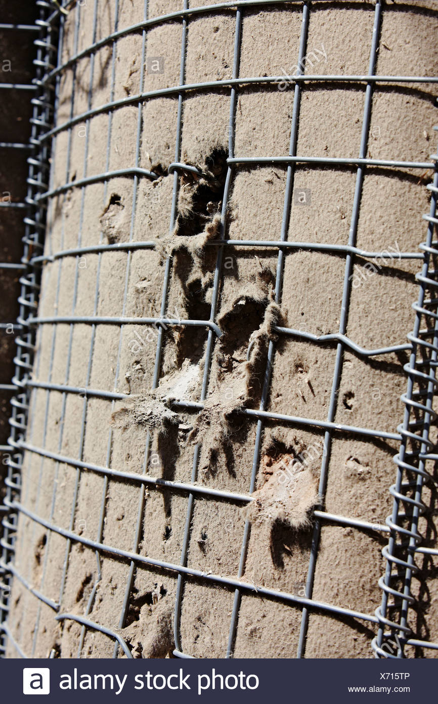 Sustained Damage High Resolution Stock Photography and Images - Alamy