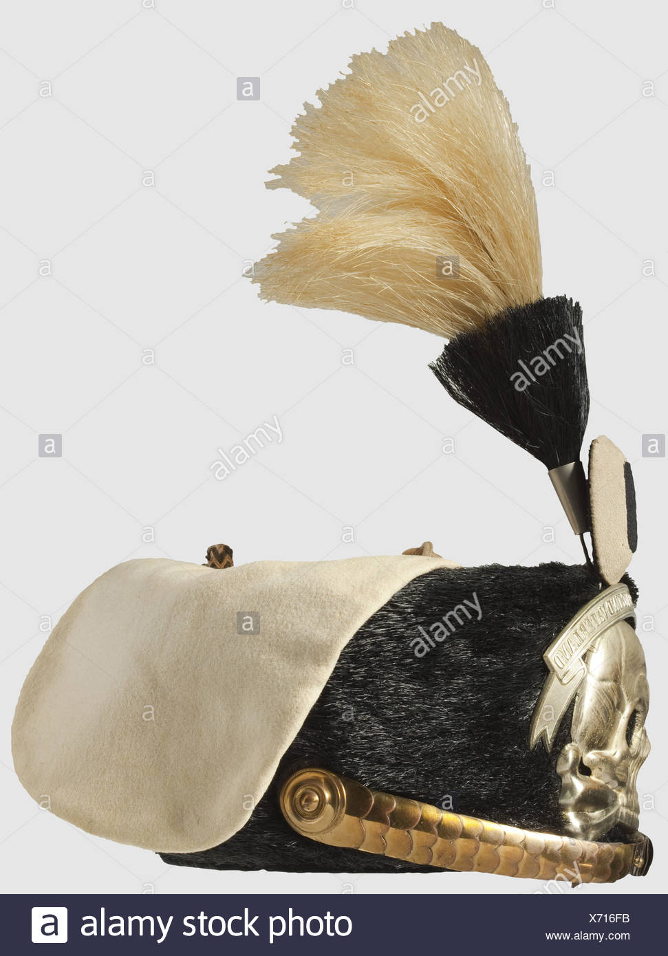 Black Fur Busby High Resolution Stock Photography and Images - Alamy