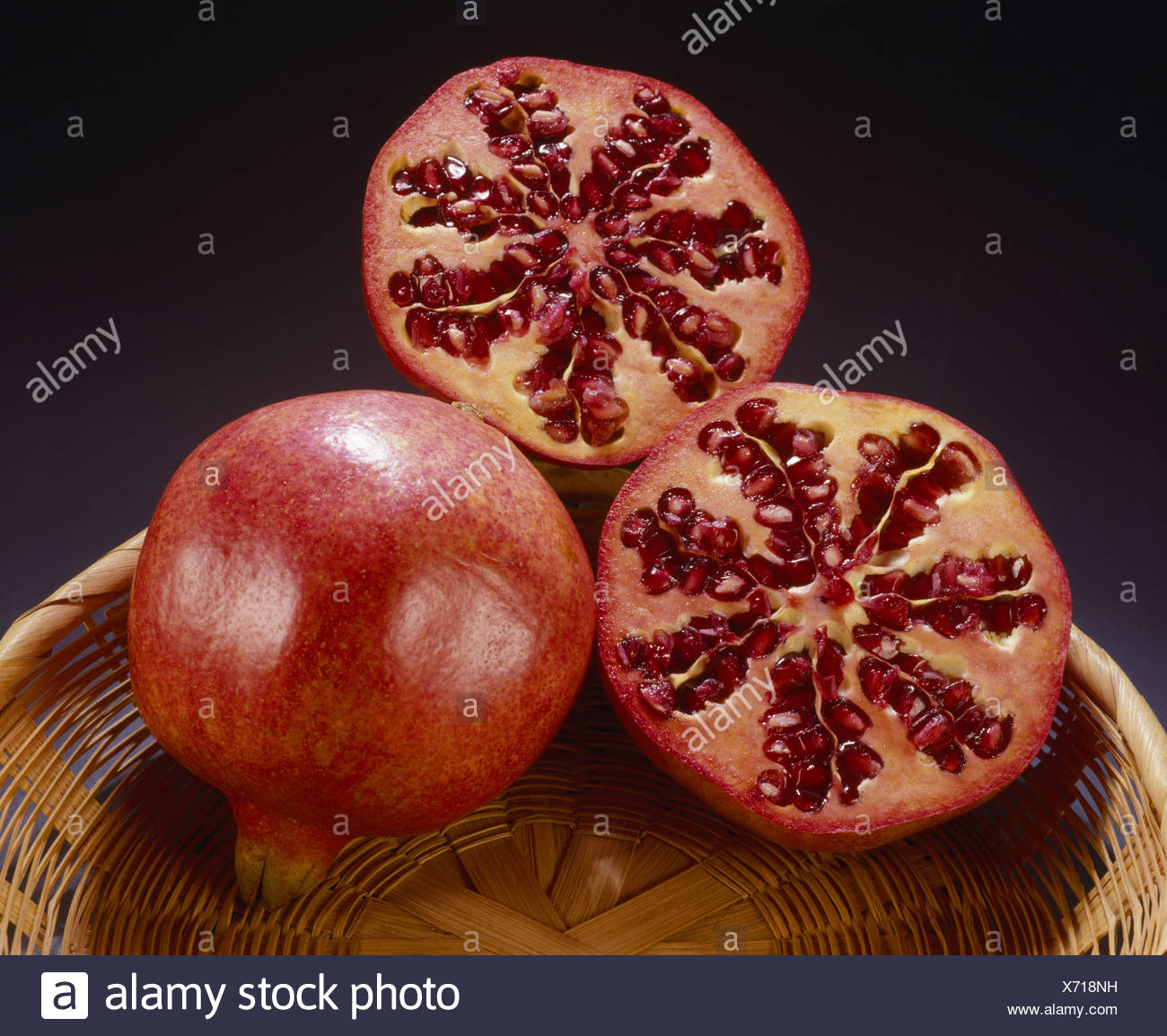 Ovary Section Stock Photos & Ovary Section Stock Images - Alamy