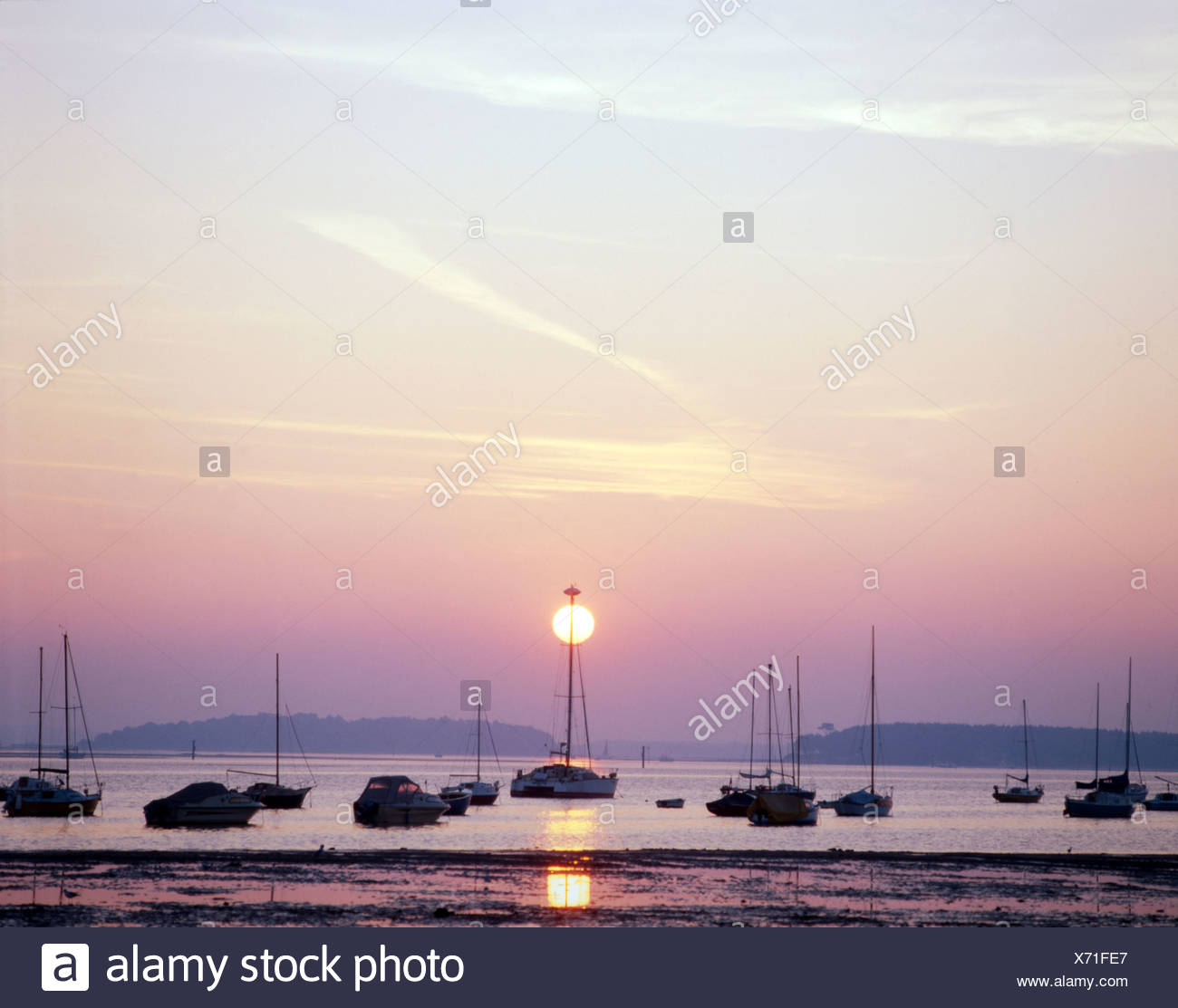 Poole Harbour High Resolution Stock Photography and Images - Alamy