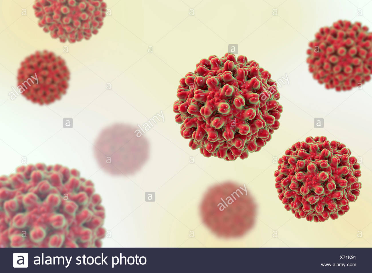 Hepadnaviridae High Resolution Stock Photography and Images - Alamy