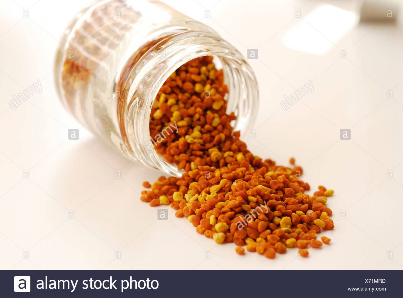 Pollen Grains High Resolution Stock Photography and Images - Alamy