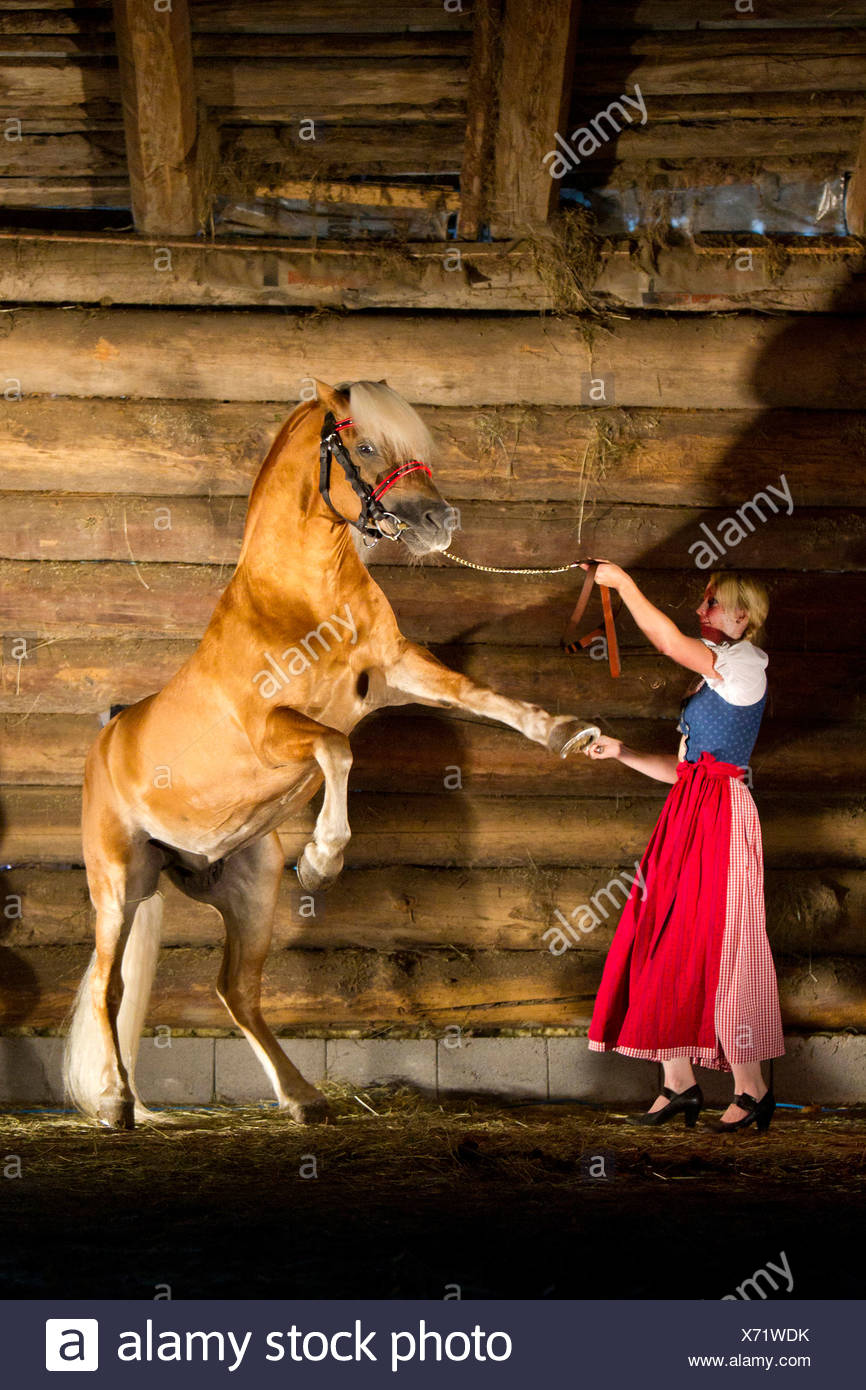 Woman Horse Rearing High Resolution Stock Photography and Images - Alamy