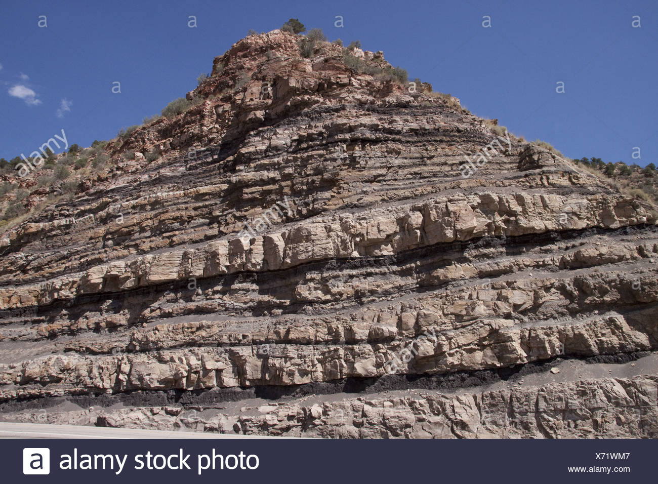 Veins In Rocks High Resolution Stock Photography and Images - Alamy