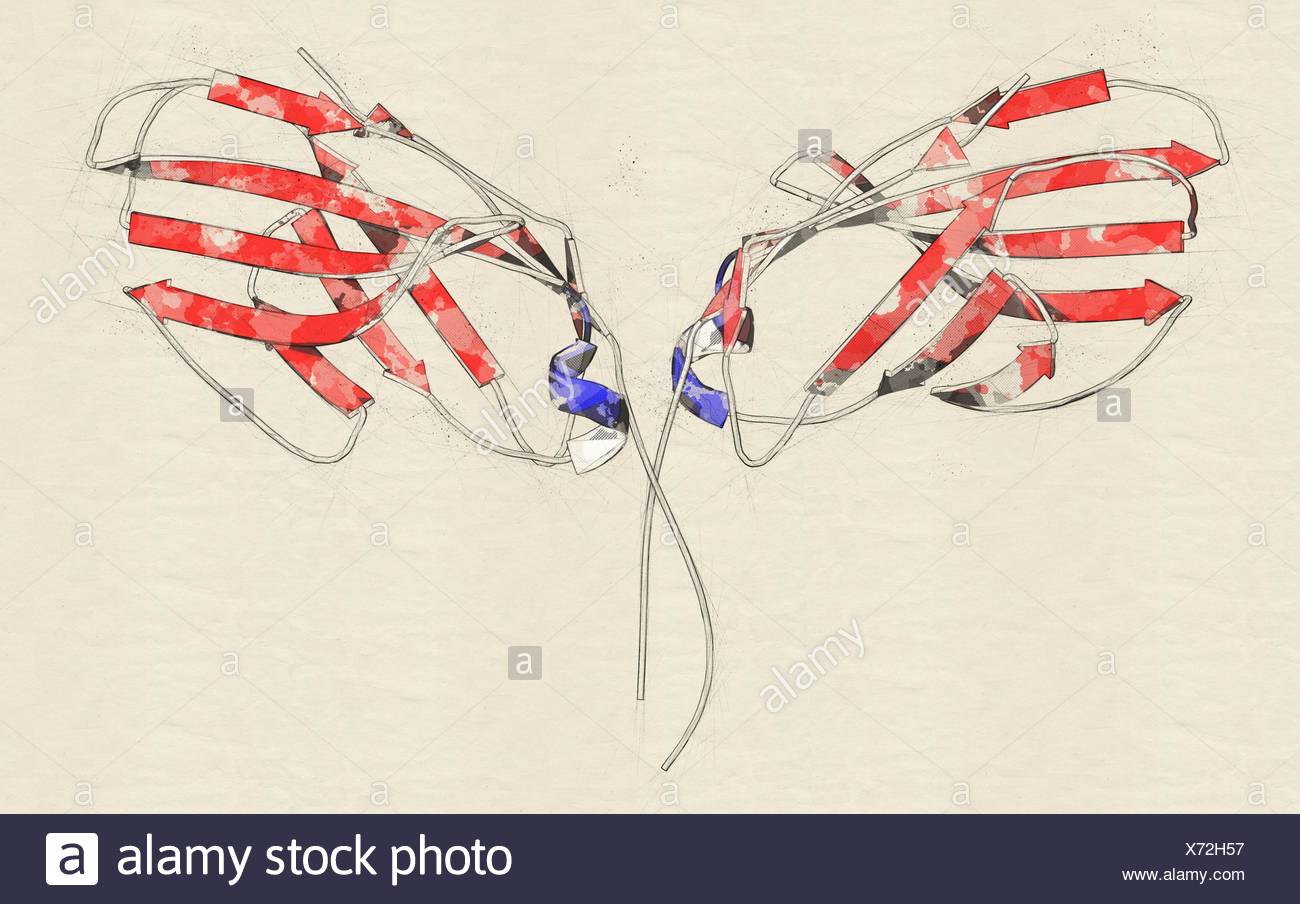 Immune Checkpoint High Resolution Stock Photography and Images - Alamy