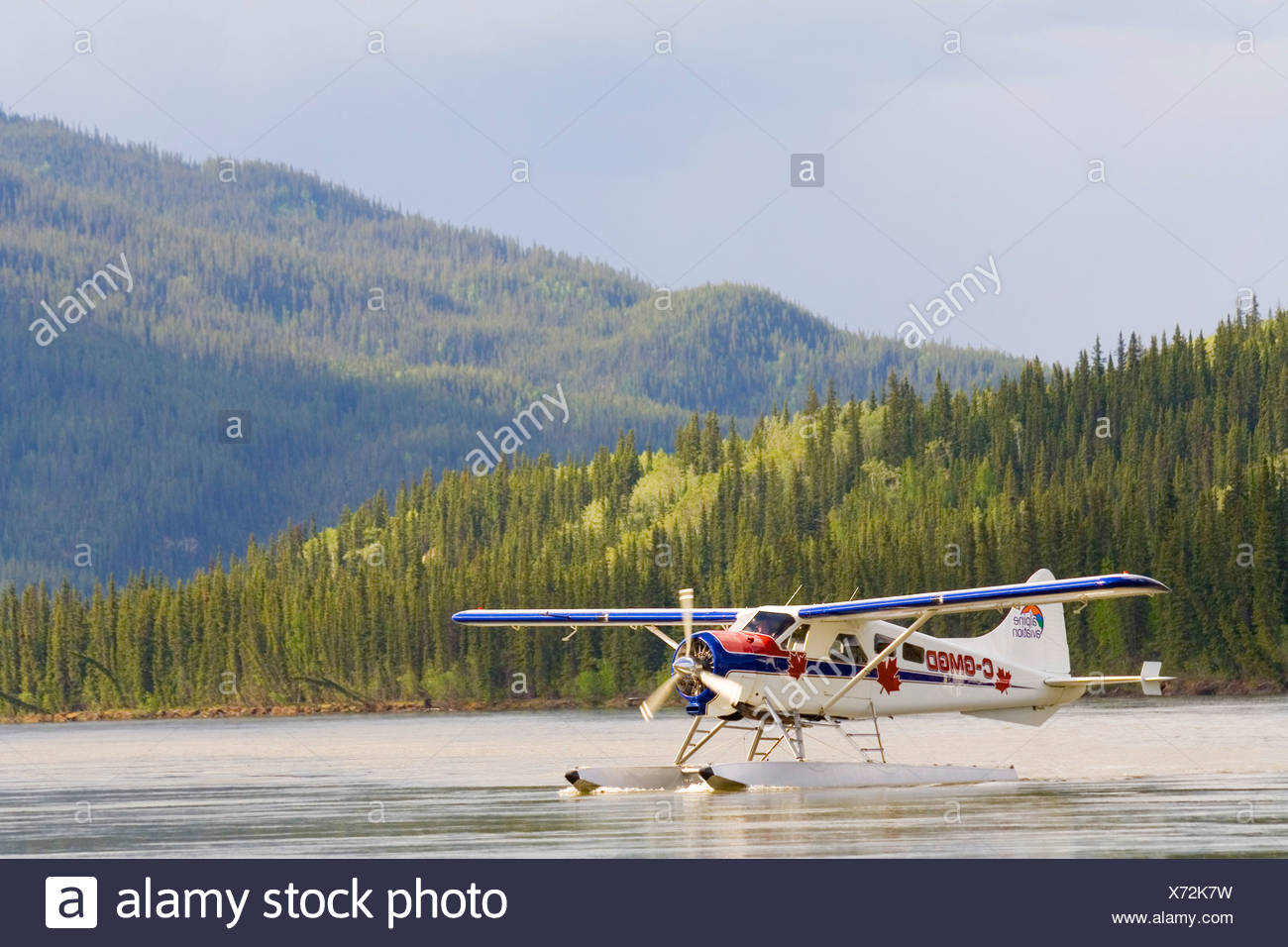 De Havilland Canada Dhc 2 Beaver Floatplane High Resolution Stock ...
