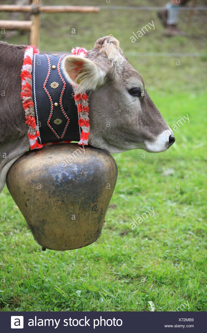 Bavarian Cow Bell High Resolution Stock Photography and Images - Alamy