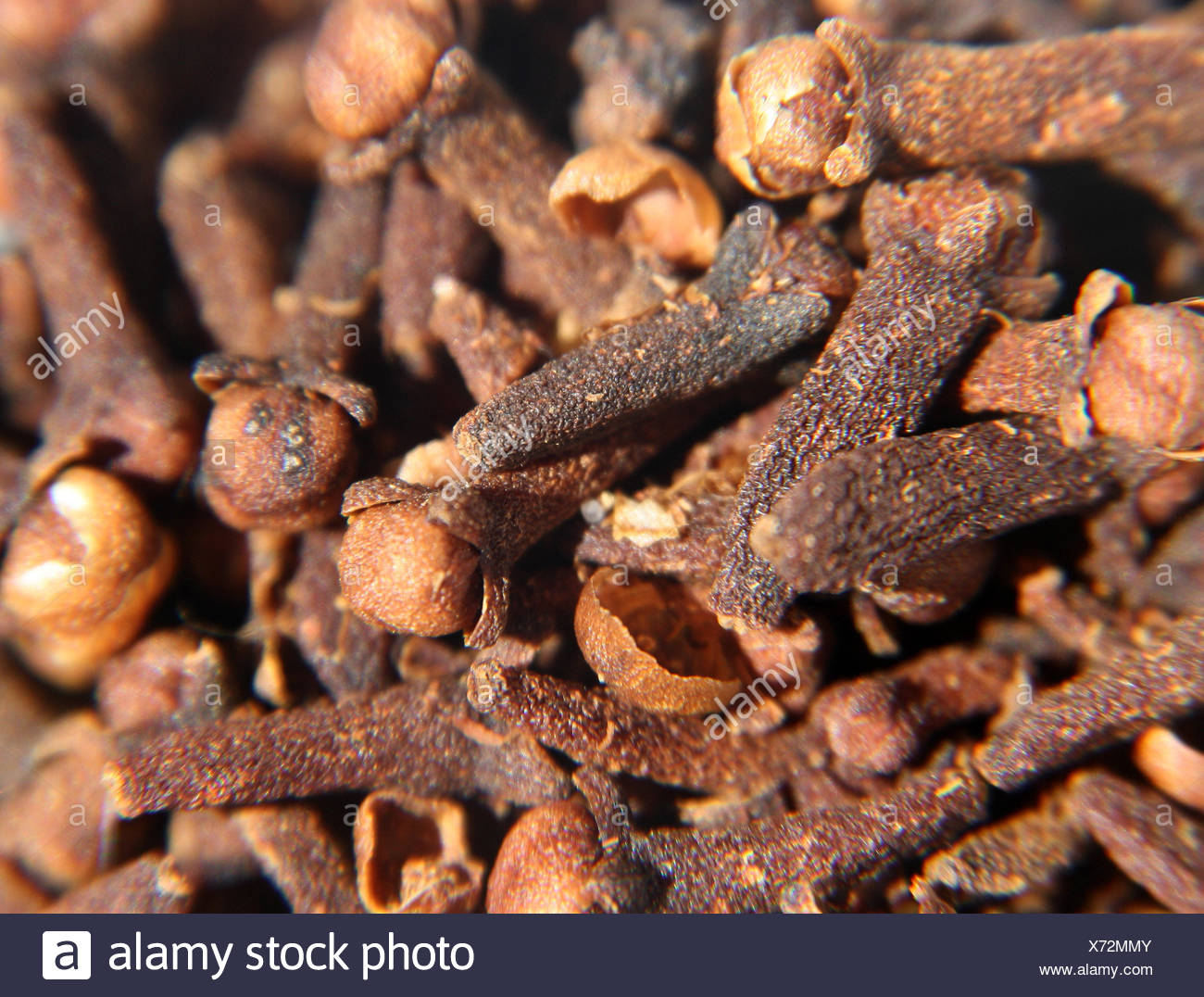 Clove Tree High Resolution Stock Photography and Images - Alamy