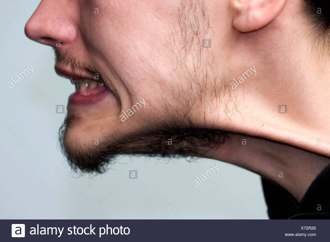 Sinewy Stock Photos & Sinewy Stock Images - Alamy