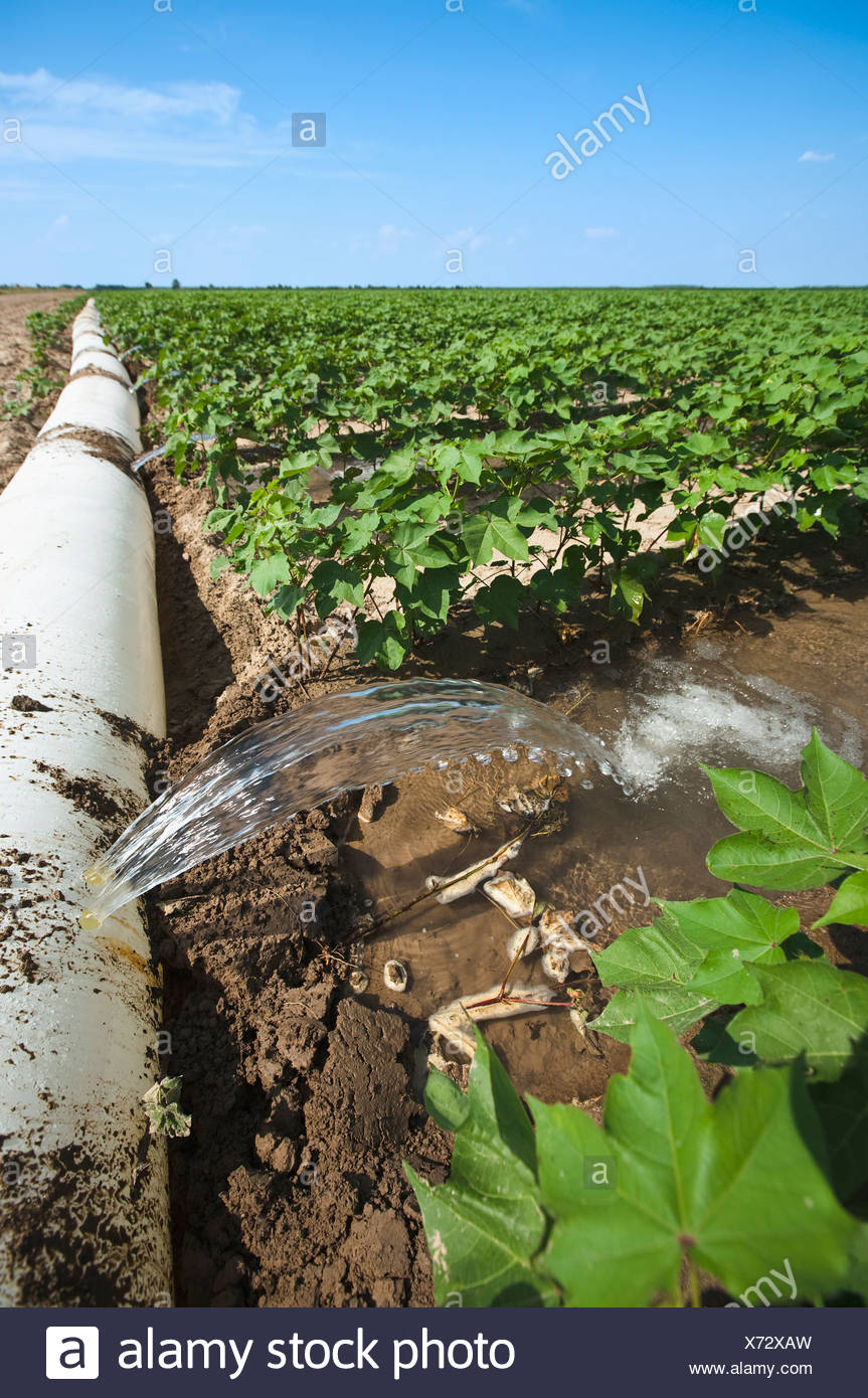 Furrow Irrigation High Resolution Stock Photography and Images - Alamy