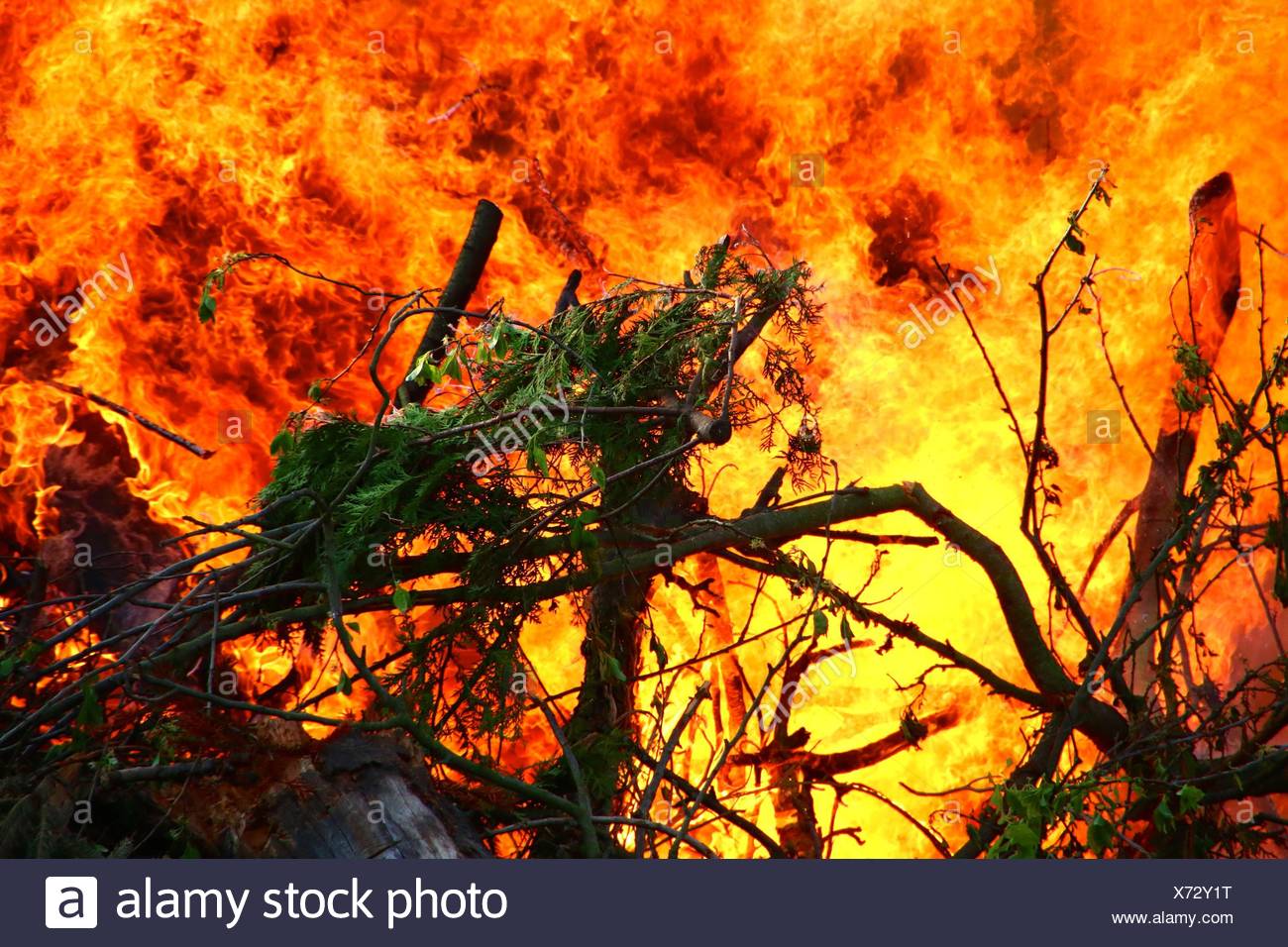 Bush Fire Damage Stock Photos & Bush Fire Damage Stock Images - Alamy
