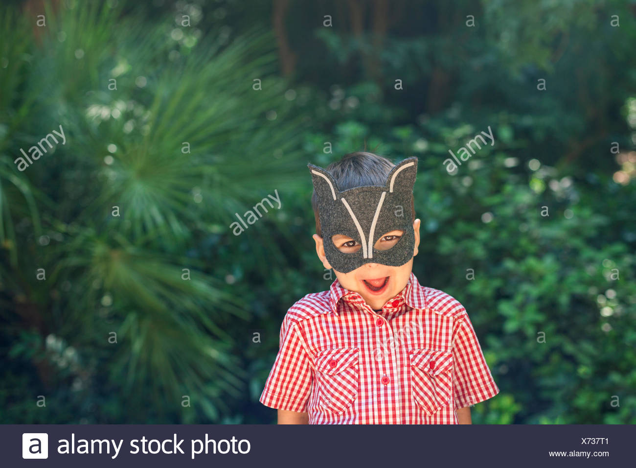 Funny Animal Faces High Resolution Stock Photography and Images - Alamy