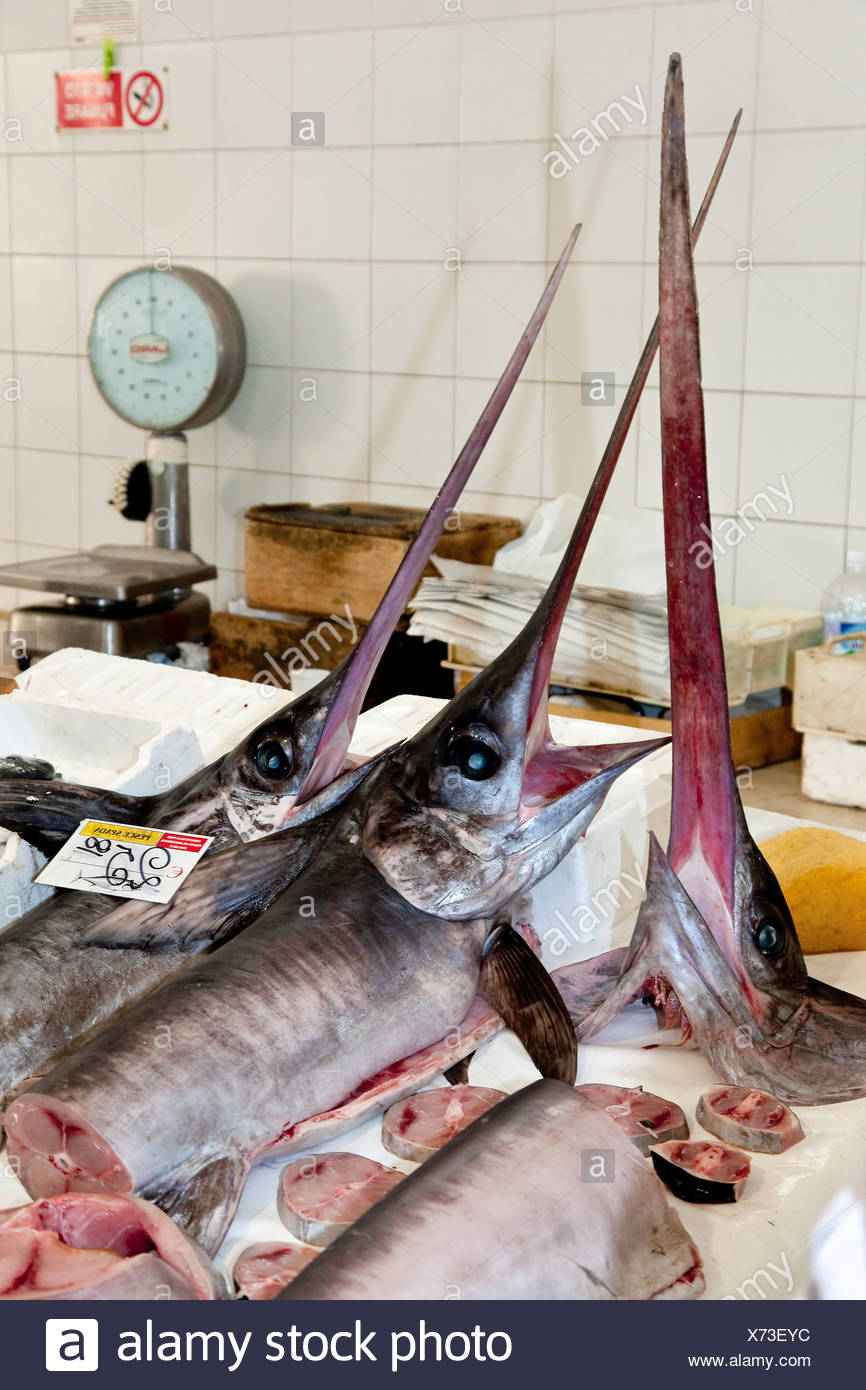 Swordfish High Resolution Stock Photography and Images - Alamy