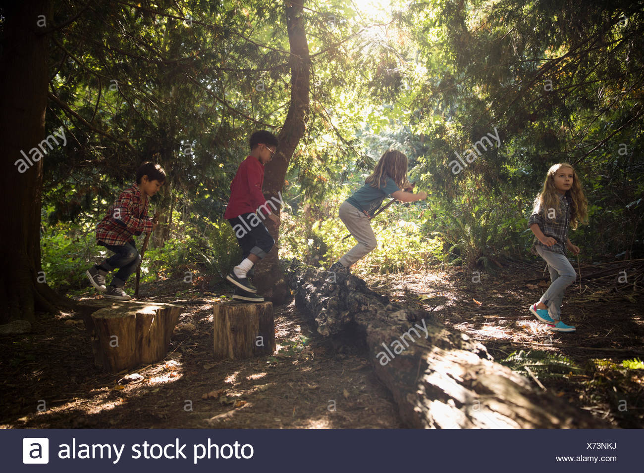 Living Stump Stock Photos & Living Stump Stock Images - Alamy
