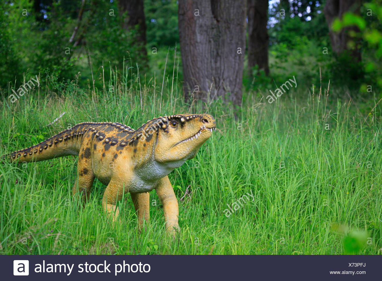 Primitive Nature High Resolution Stock Photography and Images - Alamy