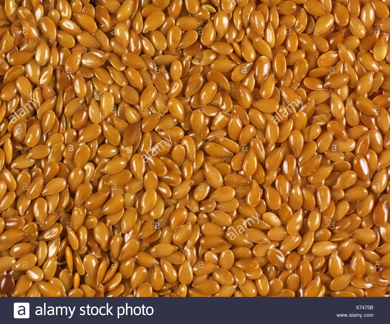 Golden Flax High Resolution Stock Photography and Images - Alamy