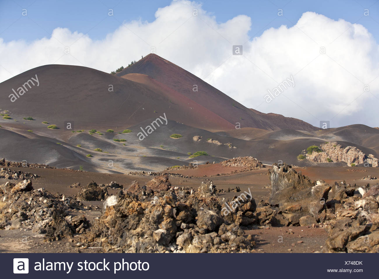 Insel Ascension High Resolution Stock Photography and Images - Alamy