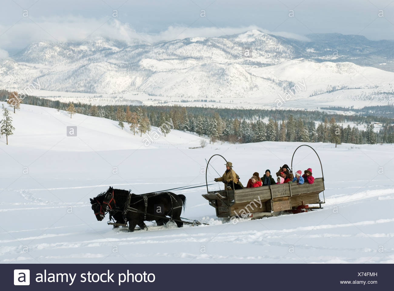 Horse Drawn Sled Stock Photos & Horse Drawn Sled Stock Images - Alamy