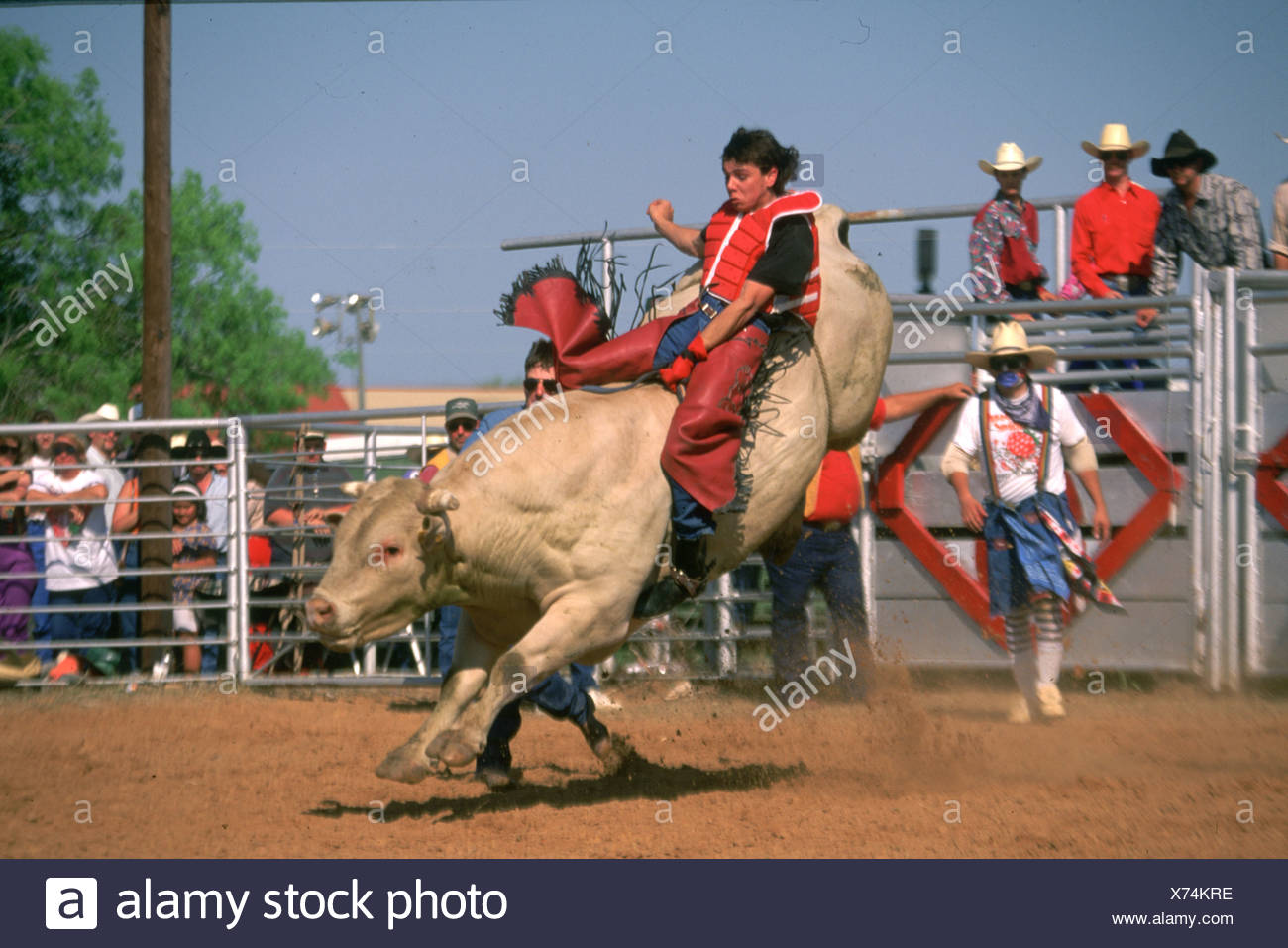 Kicking Bull High Resolution Stock Photography and Images - Alamy