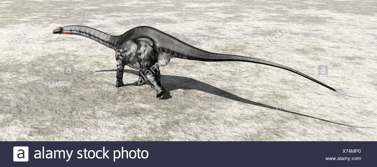 Apatosaurus High Resolution Stock Photography and Images - Alamy