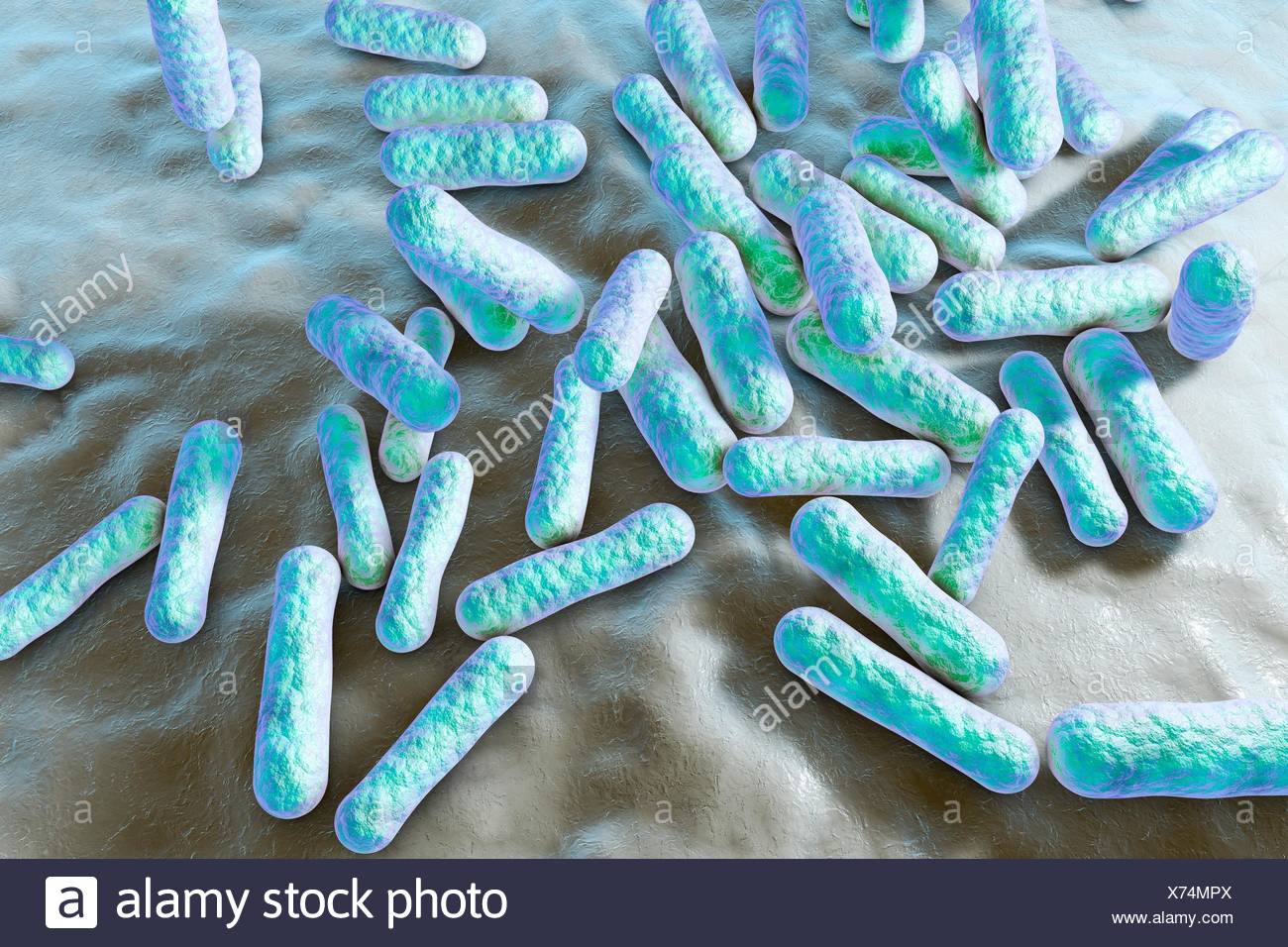 Propionibacterium Acnes Stock Photos & Propionibacterium Acnes Stock ...