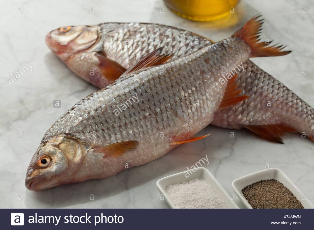 Roach Fish Stock Photos & Roach Fish Stock Images - Alamy